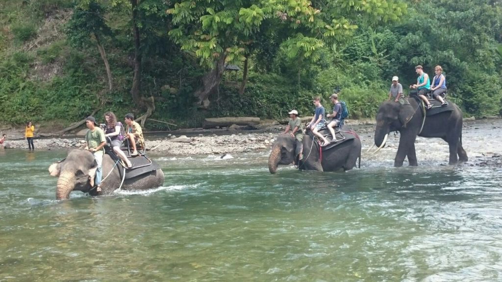 Tangkahan - Bukit Lawang Adventure